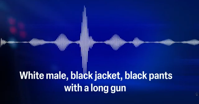 Police comms reveal hoax caller reported detailed description of ...