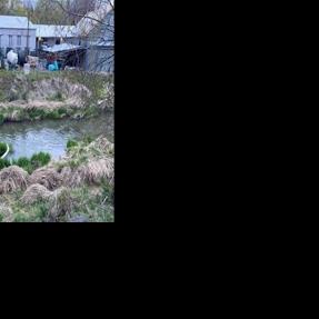 Pullman business fined for oil spill into South Fork Palouse River ...