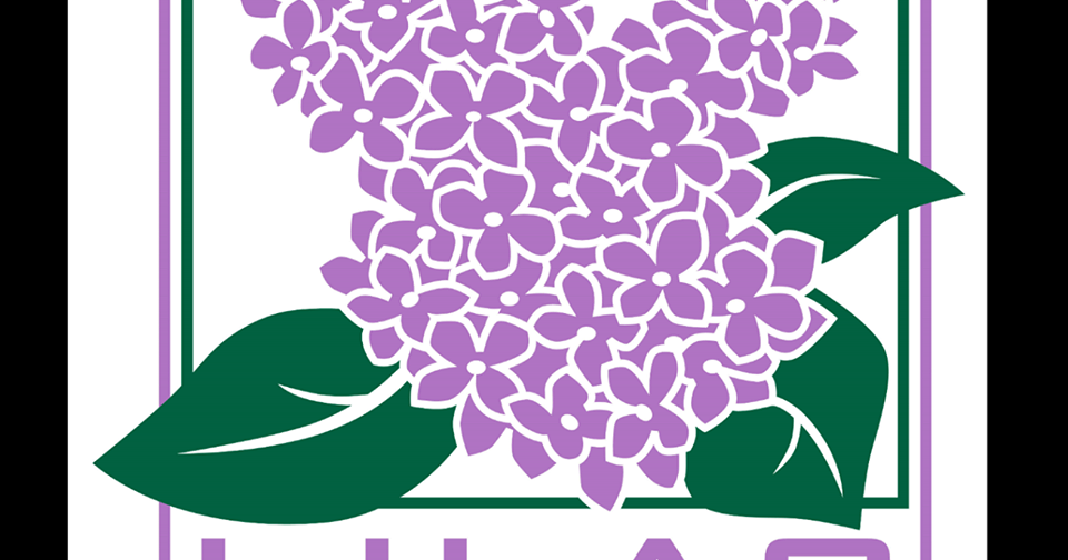 Lilac Festival elects 7 high school students for the ‘Dare to Dream ...