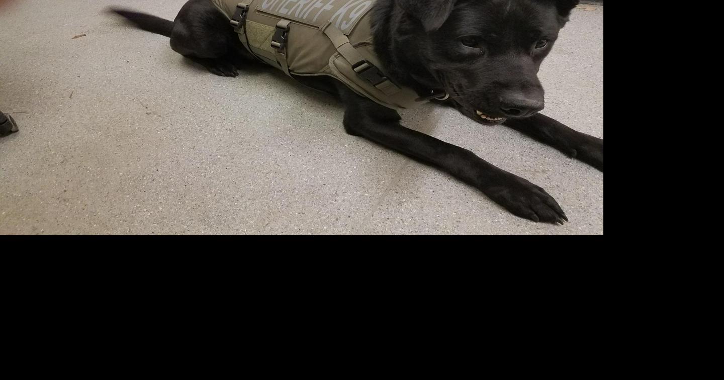 Stevens County Sheriff's Office honor K9 Keylo after 12 years of ...