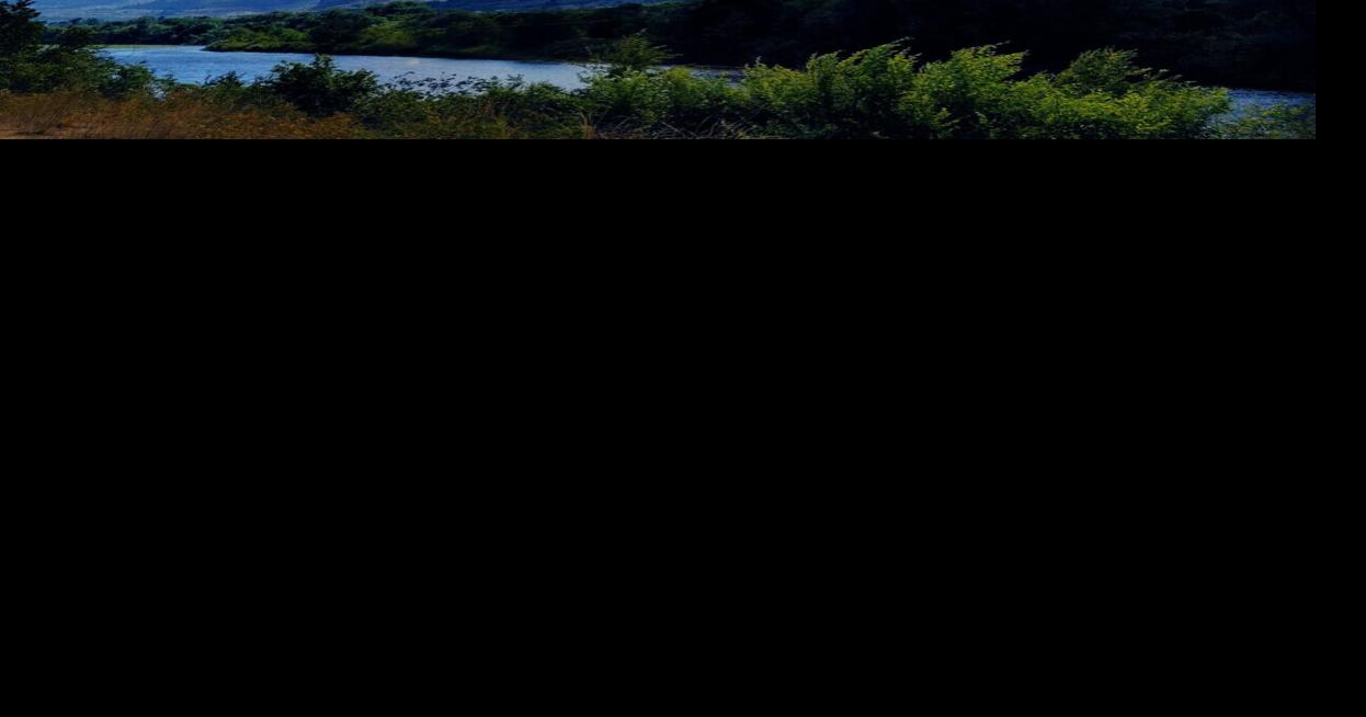 Level 3 evacuation issued for Eagle Bluff fire near Oroville ...