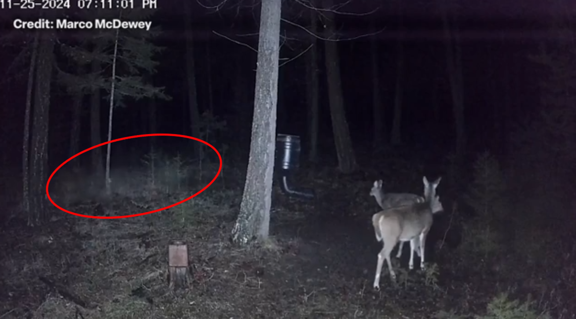 Meet the year-round Spokane 'Ghostbuster' | Spokane News | khq.com