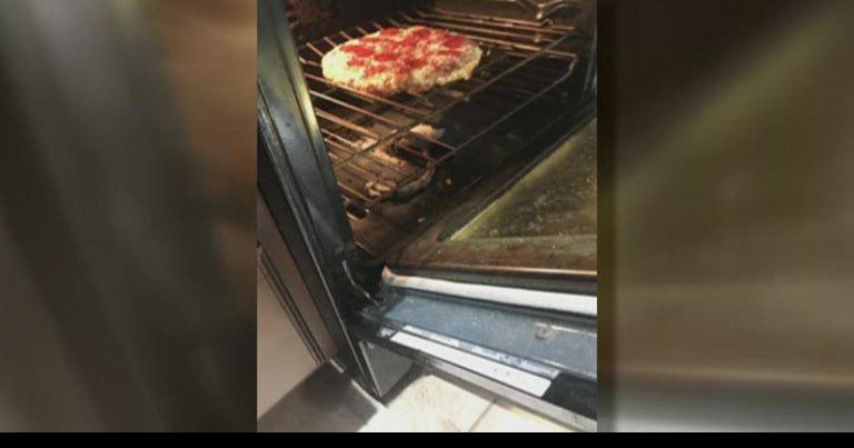North Carolina family finds snake in oven while cooking pizza | Spokane ...