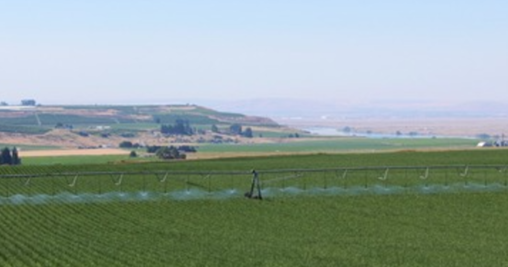 New groundwater management plan set for Pasco Basin | Regional | khq.com