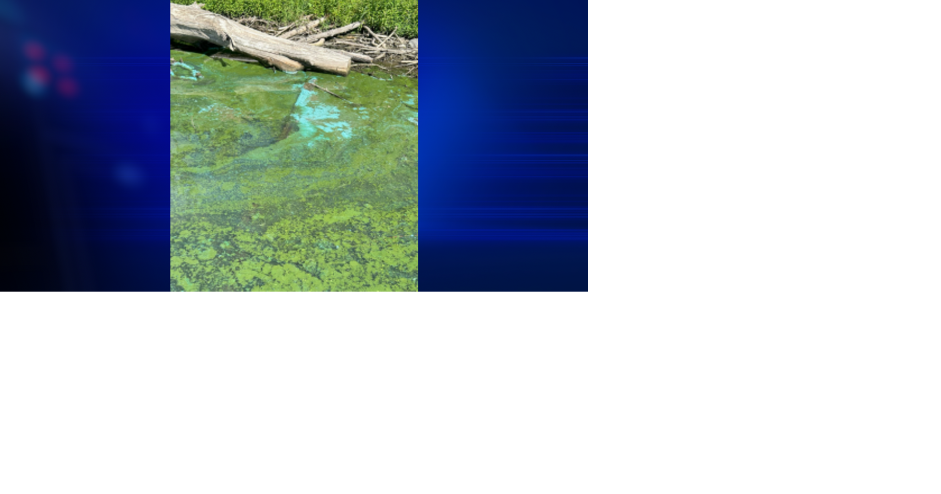 Harmful liver toxins found in algae in Snake River near Clarkston ...
