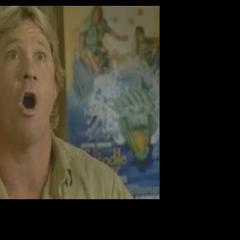 Crocodile Hunter, Steve Irwin, killed doing what he loved | Spokane ...