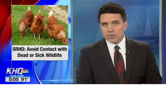 SRHD advises against touching sick or dead wildlife | Spokane News ...