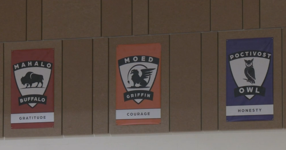 Peperzak Middle School replicates Harry Potter as students are sorted ...