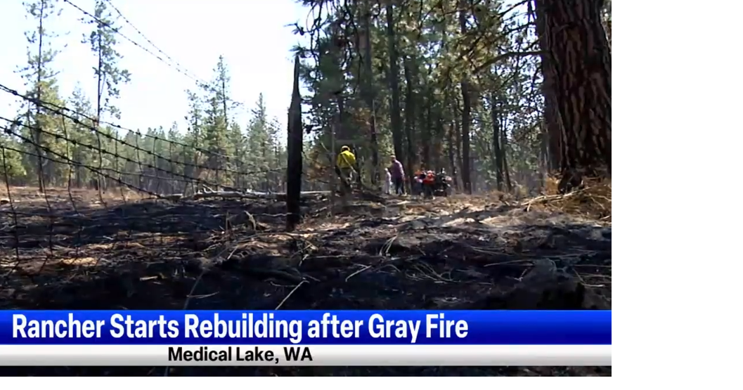 Rancher in Medical Lake begins to rebuild following destruction of Gray ...