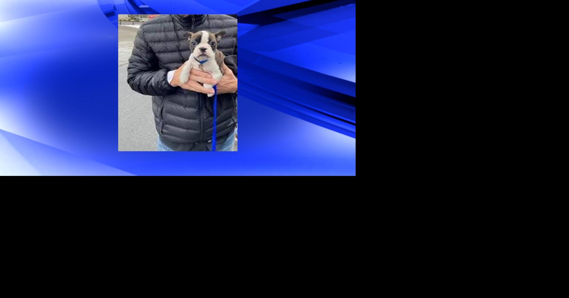 Spokane task force arrests juvenile gang members, recover 8-week-old ...