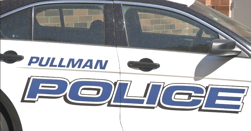 Pullman Police Department use new intervention training to prevent ...