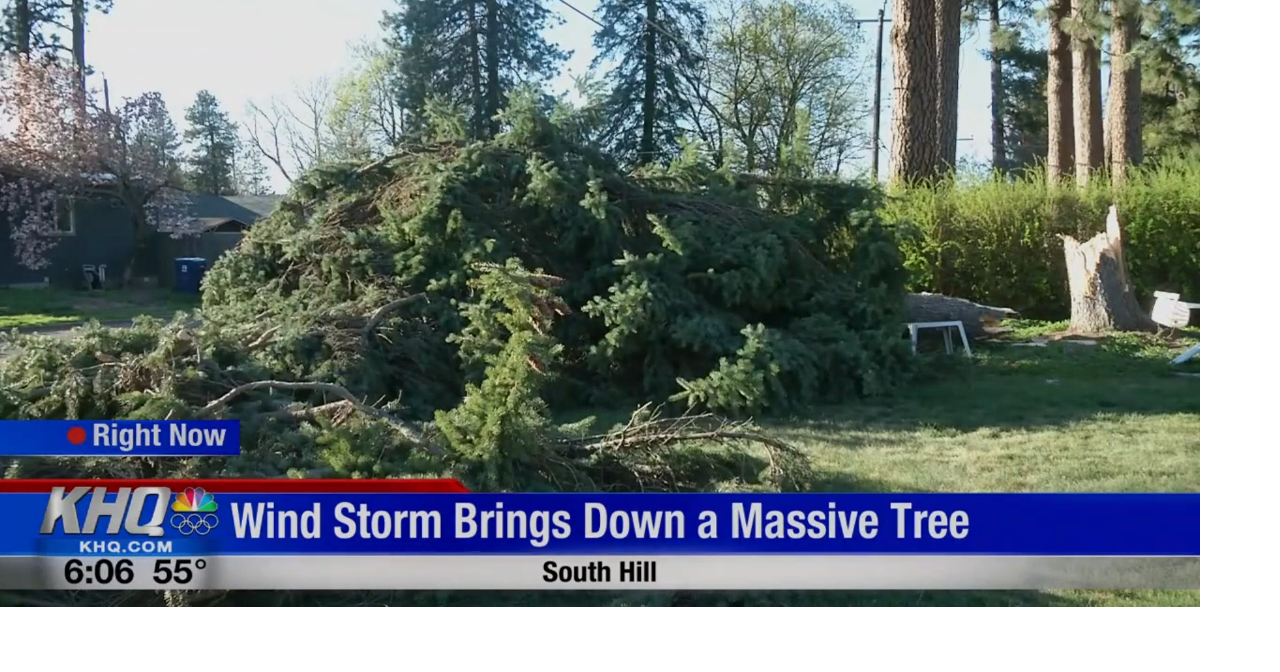 WATCH: Spokane residents cleanup, again, after winds bring down more ...