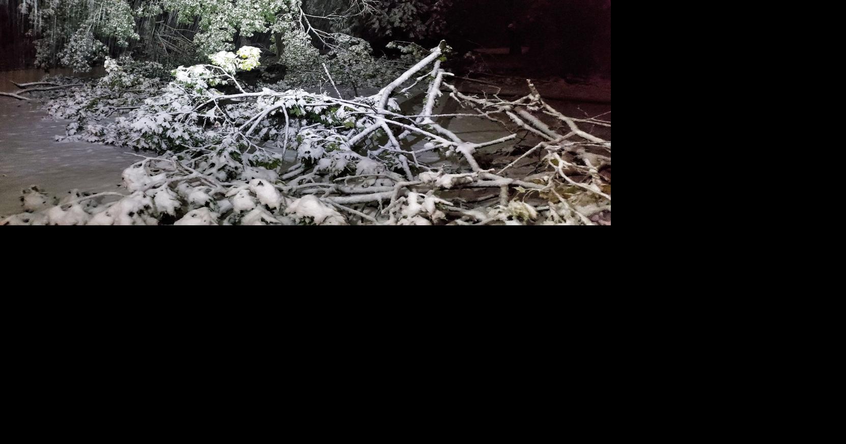 City of Spokane crews working to remove downed trees, deicing streets ...