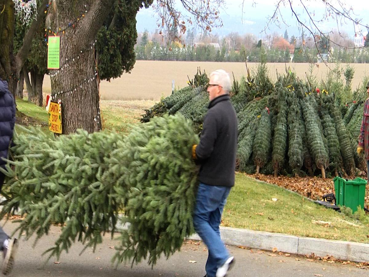 Spokane nonprofit's Christmas tree fundraiser, holiday market supports ...
