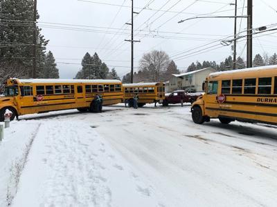multiple school buses