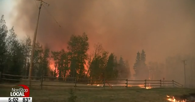 Washington fire experts weigh in on how to prepare for wildfire season ...