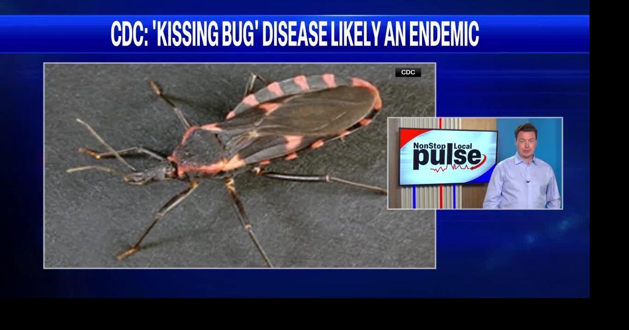 CDC warns of endemic 'kissing bug' disease | National | khq.com