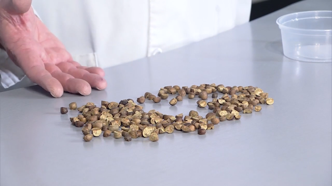 Extreme Science | khq.com