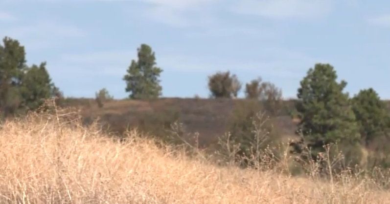 Evacuation orders lifted for Elk Ridge Fire south of Spokane ...