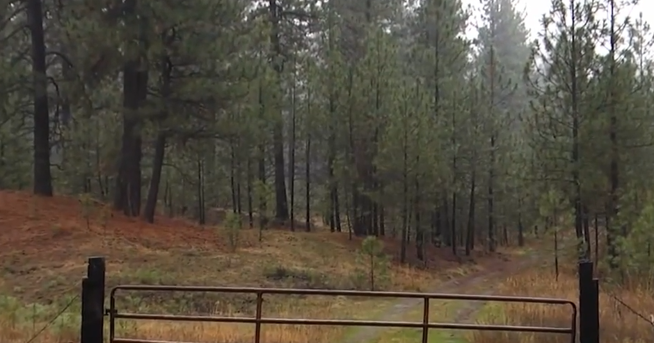 Future of 190 acre Spokane forest causing concern, petition to stop ...