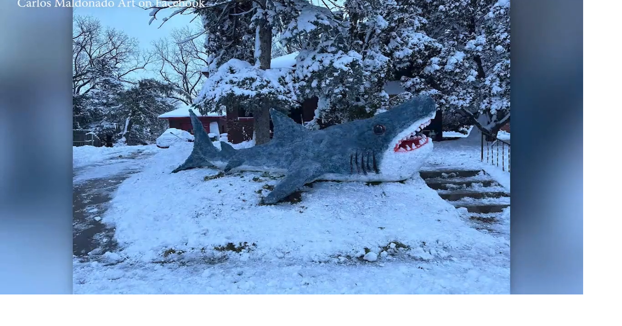 Snow shark sculpture: Father and sons show their creative craftsmanship ...