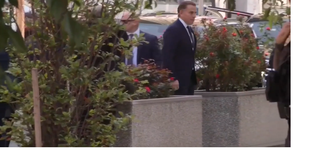 Attorney's representing Hunter Biden file motion to dismiss gun charges ...