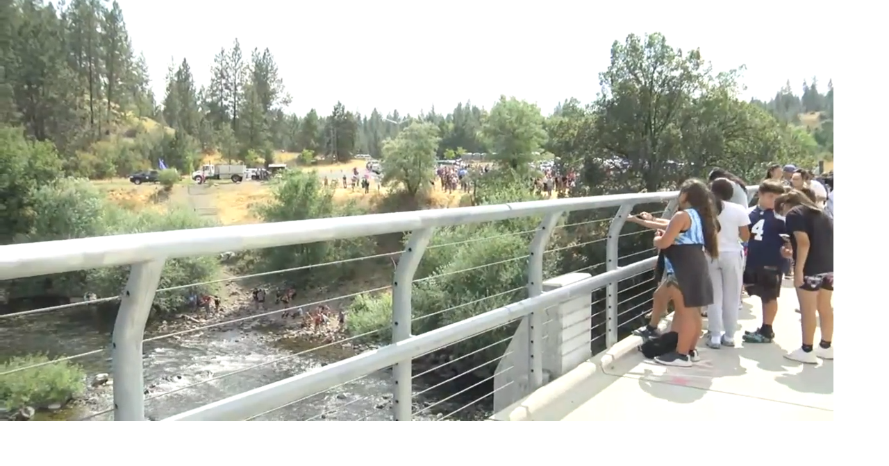 Spokane Tribe prepares to release 125 Chinook salmon into the Spokane ...