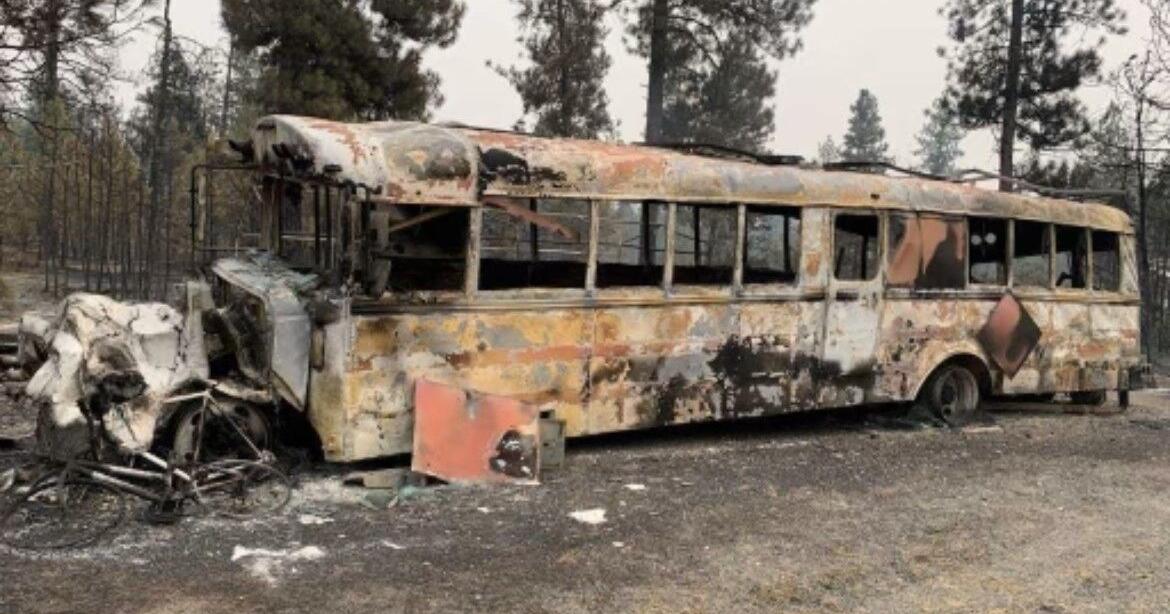 Silver Lake family nearing completion of ‘total bus conversion’ into ...