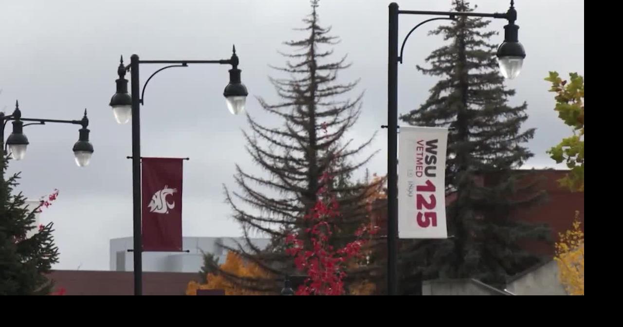 'Anything is on the table': WSU Provost talks next steps in campus ...