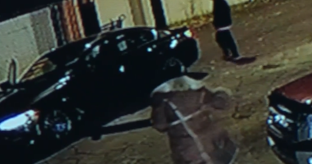 'Mission Impossible style': Network of thieves rappel into Spokane car ...