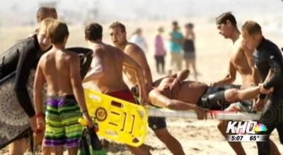 manhattan beach shark attack