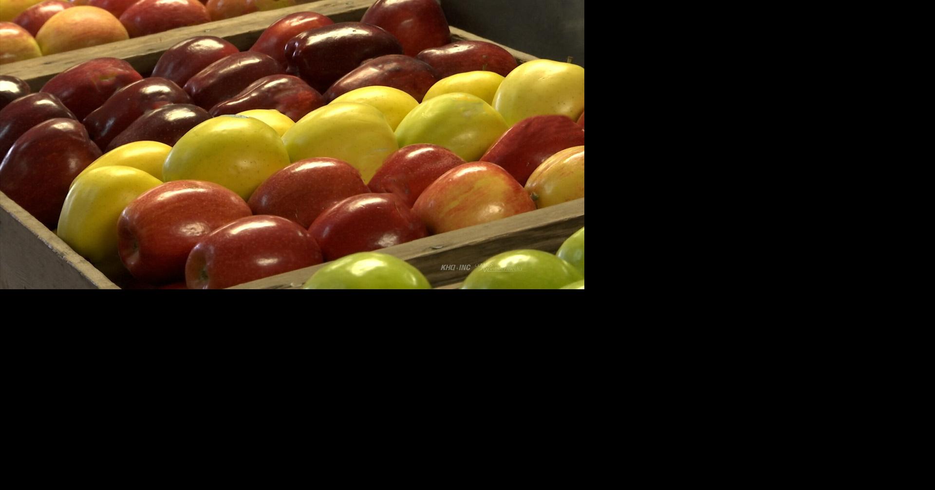 India lifts tariffs for Washington apple, chickpea and lentil exports ...