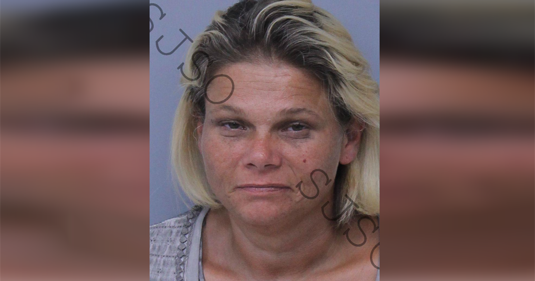 Florida woman named Crystal Methvin arrested for possession of crystal ...