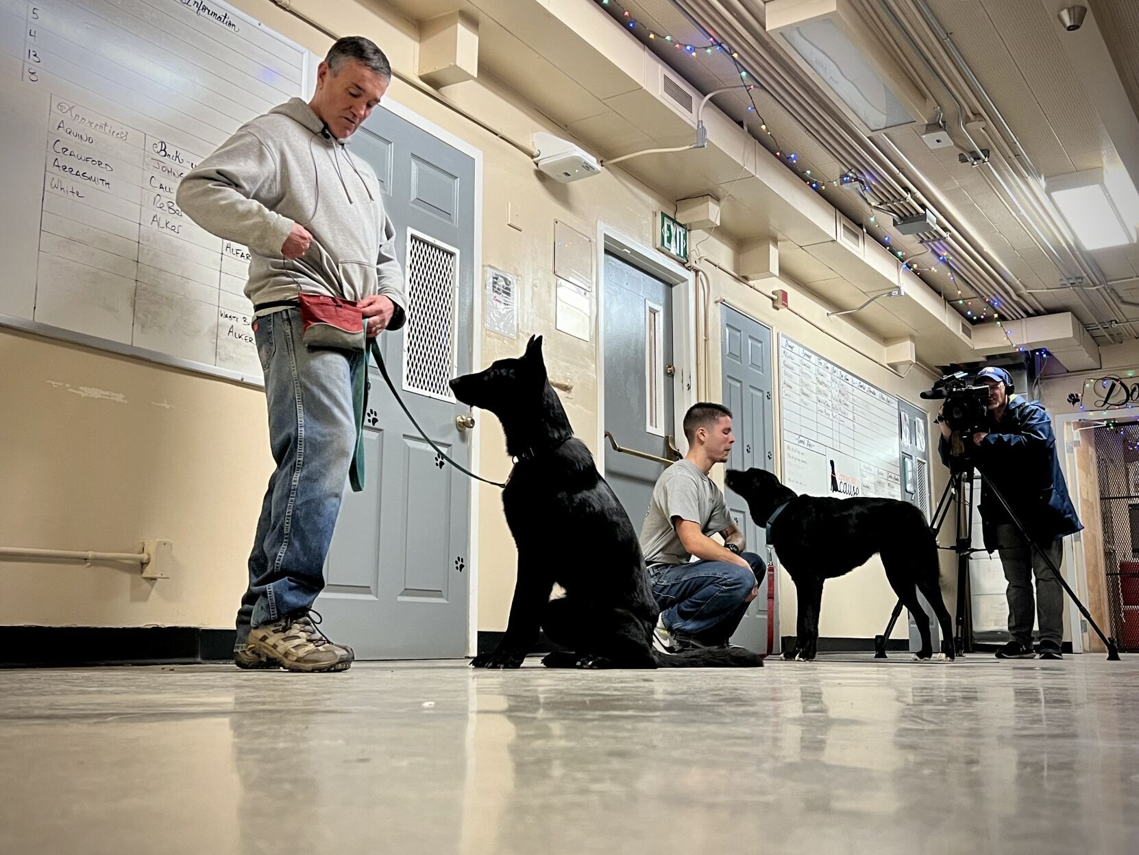 Prison animal program benefits dogs, inmates and the broader North ...