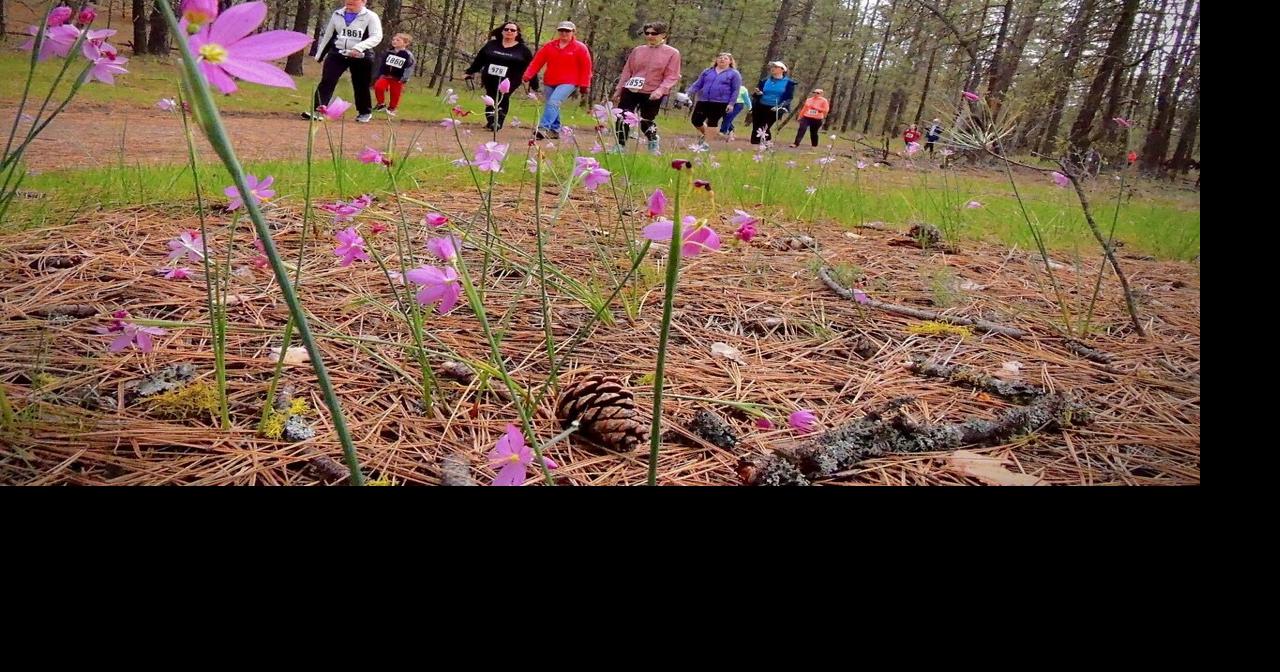 Spokane River Run benefits classrooms, students by supporting Garfield ...