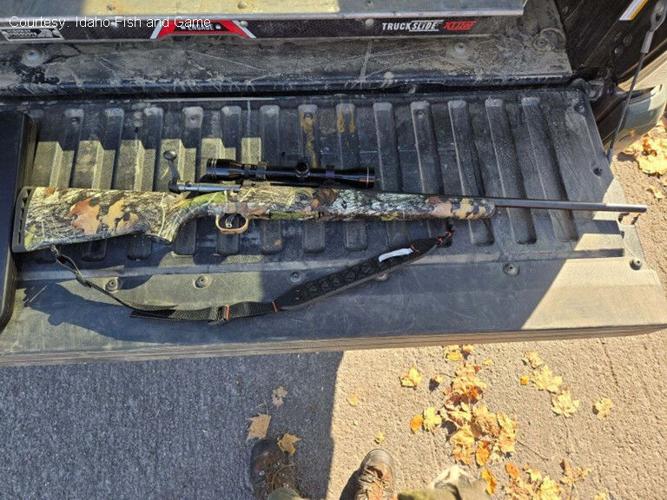 Kellogg man convicted for illegally wasting trophy bull moose in ...