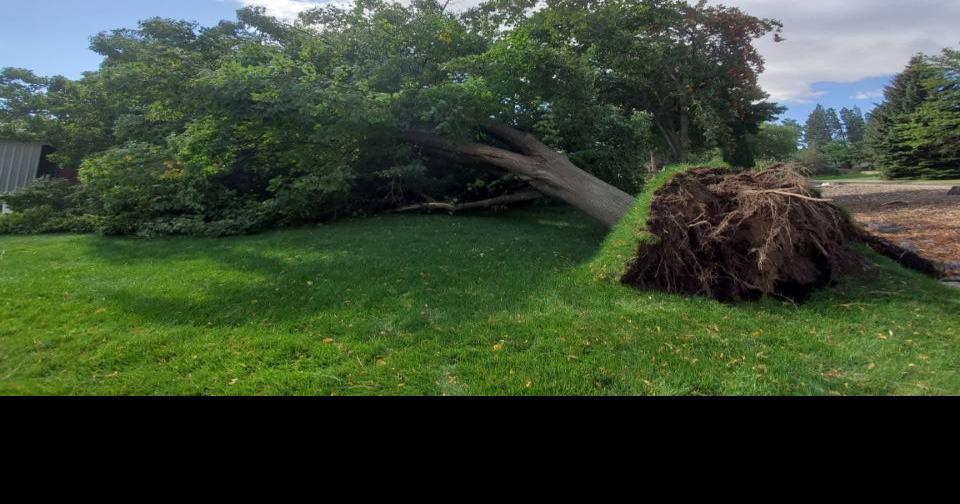 City of Spokane totals $3 million in wind storm damage | Spokane News ...
