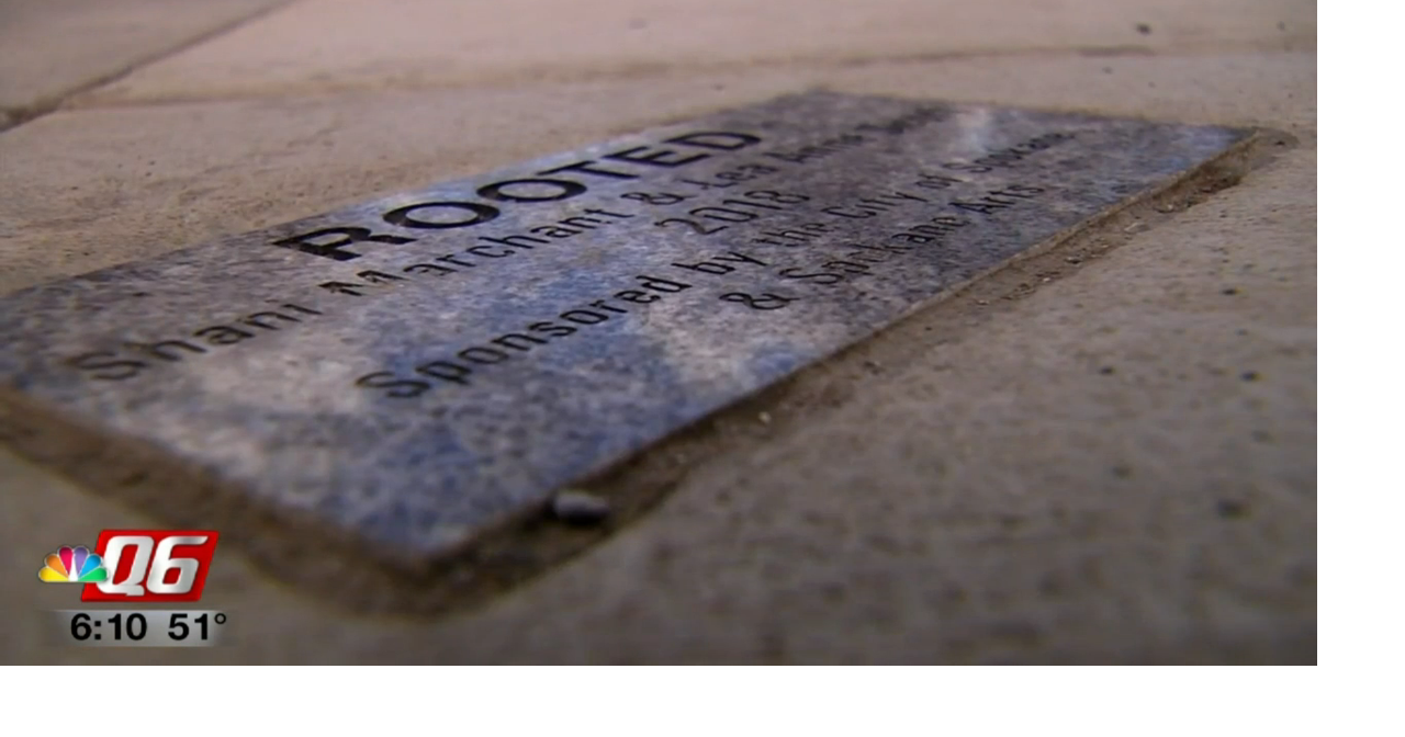 New sculptures installed on University District Gateway Bridge ...
