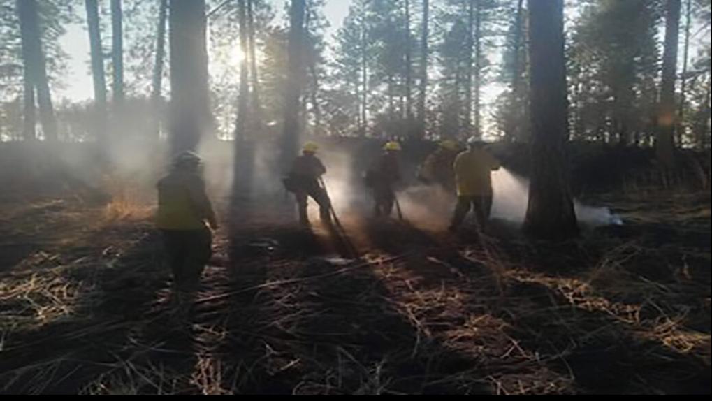Gray Fire in Medical Lake 93% contained, final overnight shift on ...