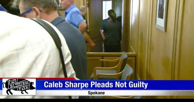 Admitted Freeman High School shooter pleads not guilty to all counts in ...