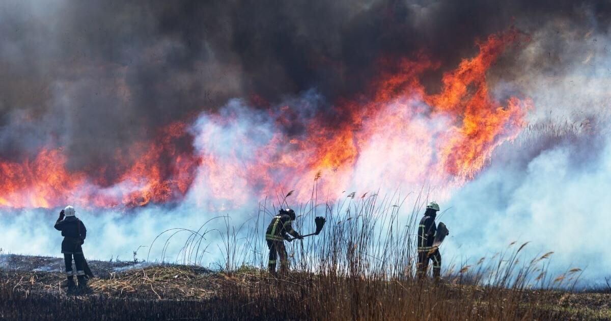 Wildfire burns 1,000 acres near Pioneerville | Spokane News | khq.com