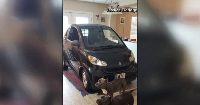 Florida man parks Smart car in kitchen in fear hurricane would blow it ...