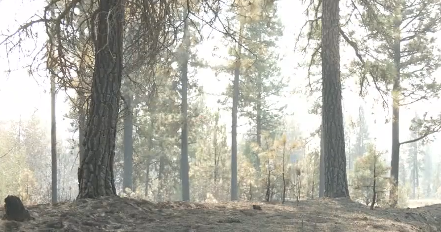 Firefighters manage two wildfires in Spokane County | Spokane News ...