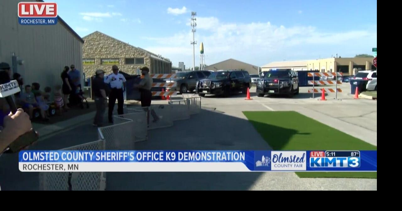 LIVE: Olmsted County Sheriff's Office holds K9 demonstration | Video | kimt.com