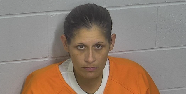 Minnesota woman pleads not guilty for theft of a pickup truck in North ...