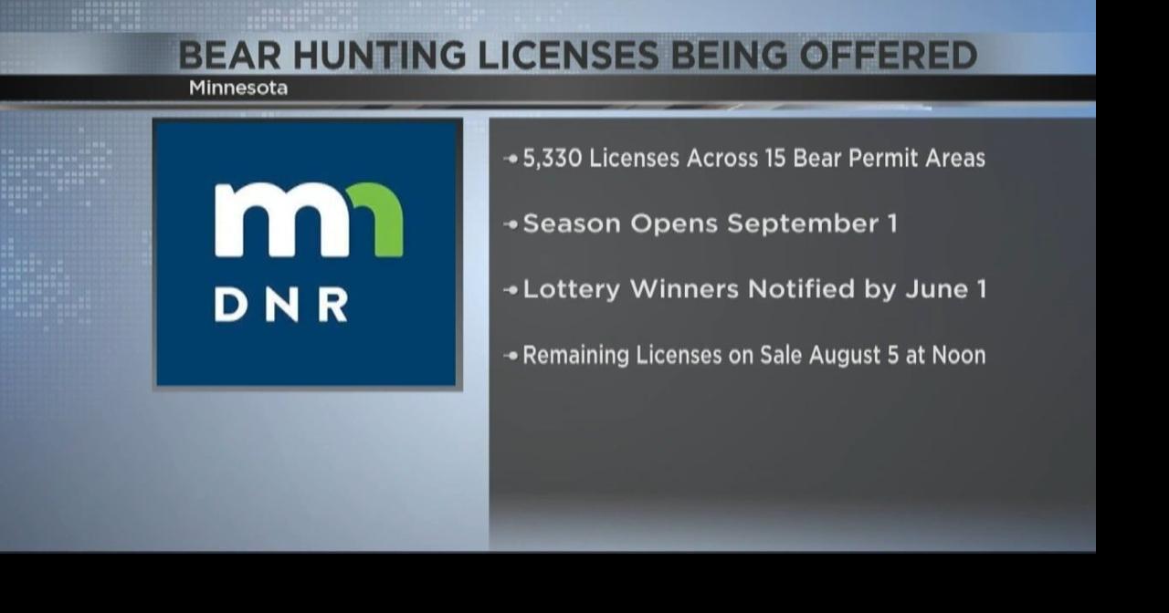 Bear hunting licenses being offered in Minnesota | Video | kimt.com