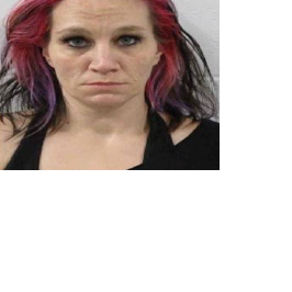 Minnesota woman pleads not guilty to 12 crimes in North Iowa | News ...