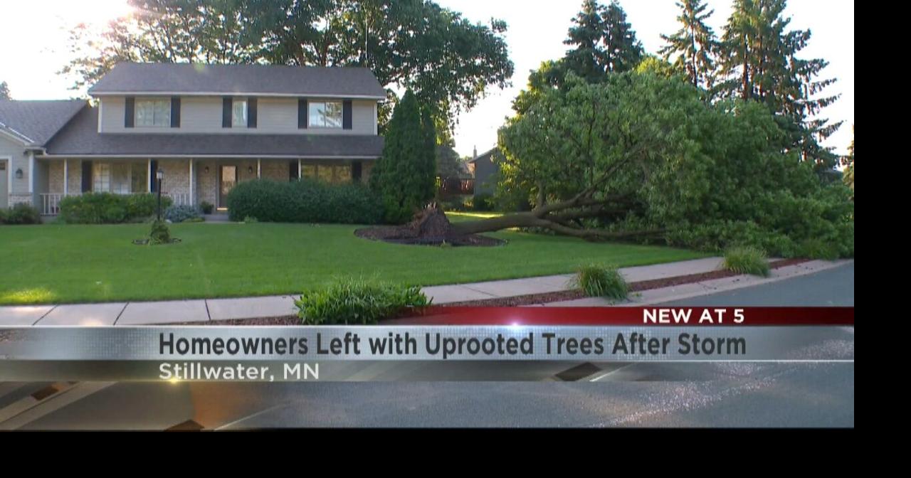 Stillwater neighborhood's trees uprooted by 76mph winds gusts | Video ...
