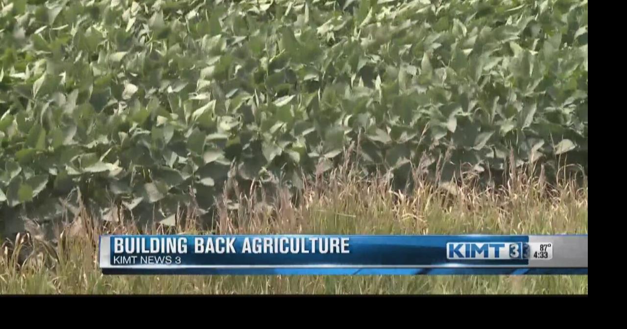 USDA shares plans to support agriculture industry through Build Back ...