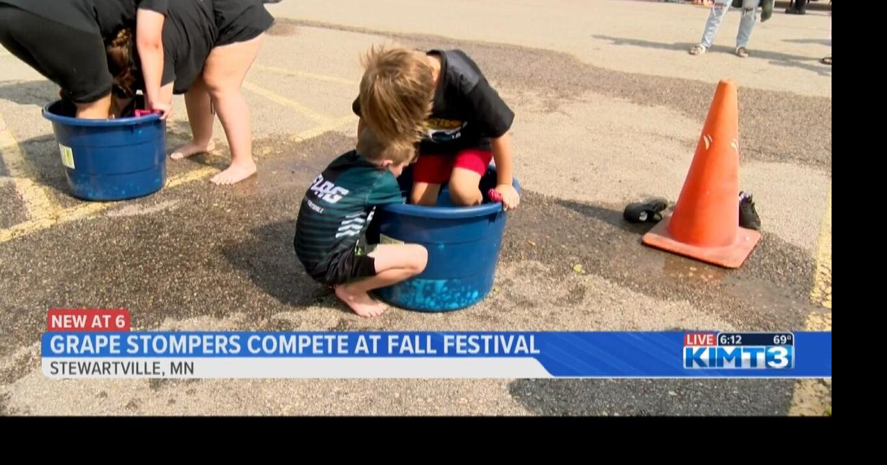 Grape stompers compete at fall festival | News | kimt.com